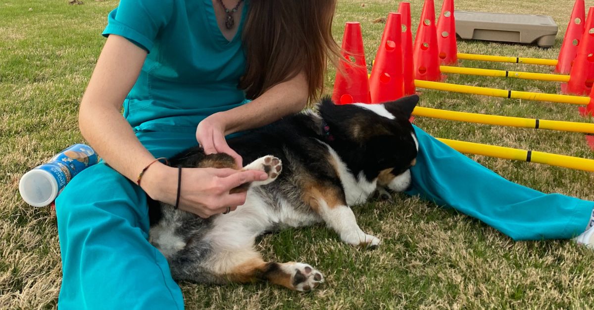 Handle With Care: Why Low-Stress Handling is Key to Achieving Optimal ...