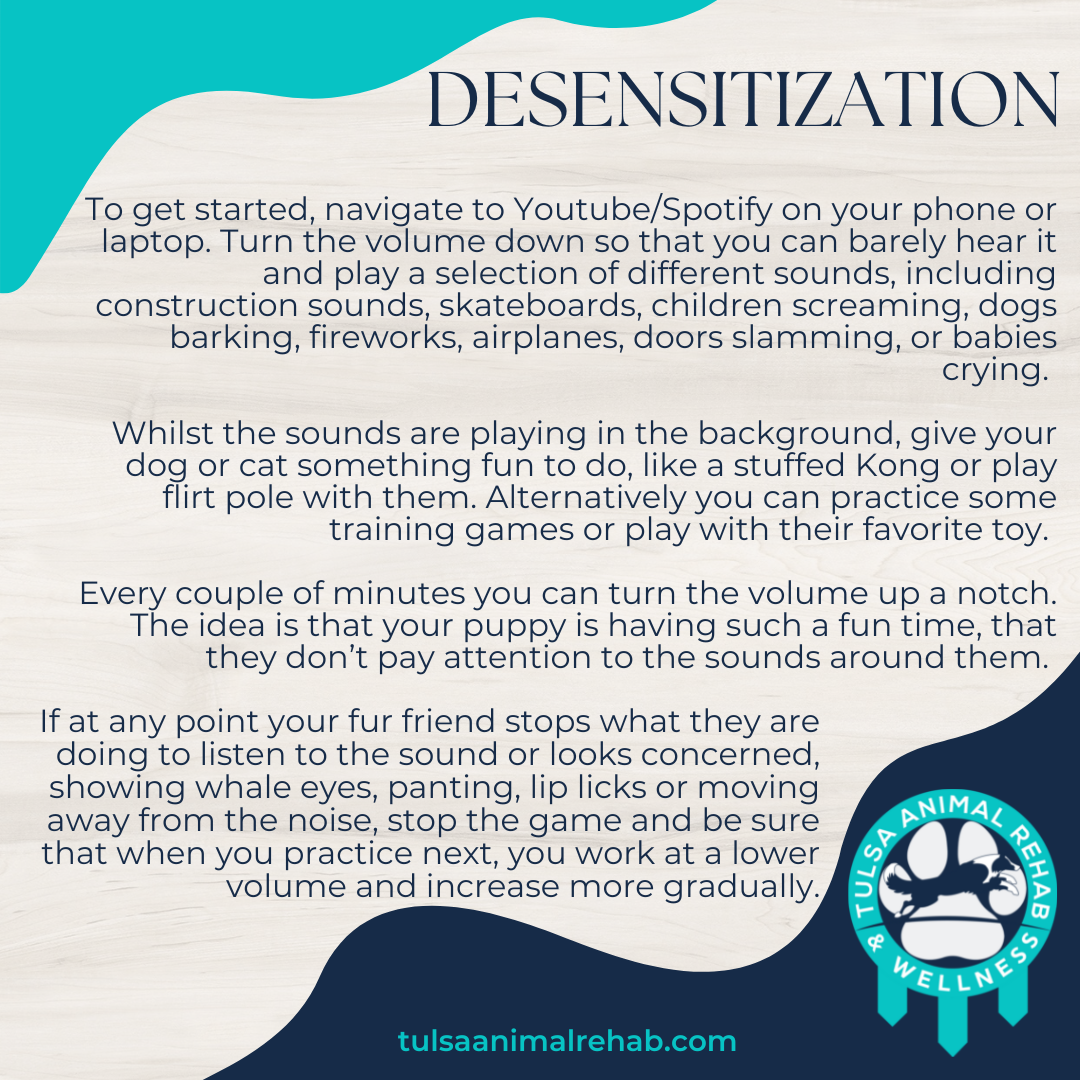 How Animals Learn- Part 4: How We Can Help – Tulsa Animal Rehab & Wellness