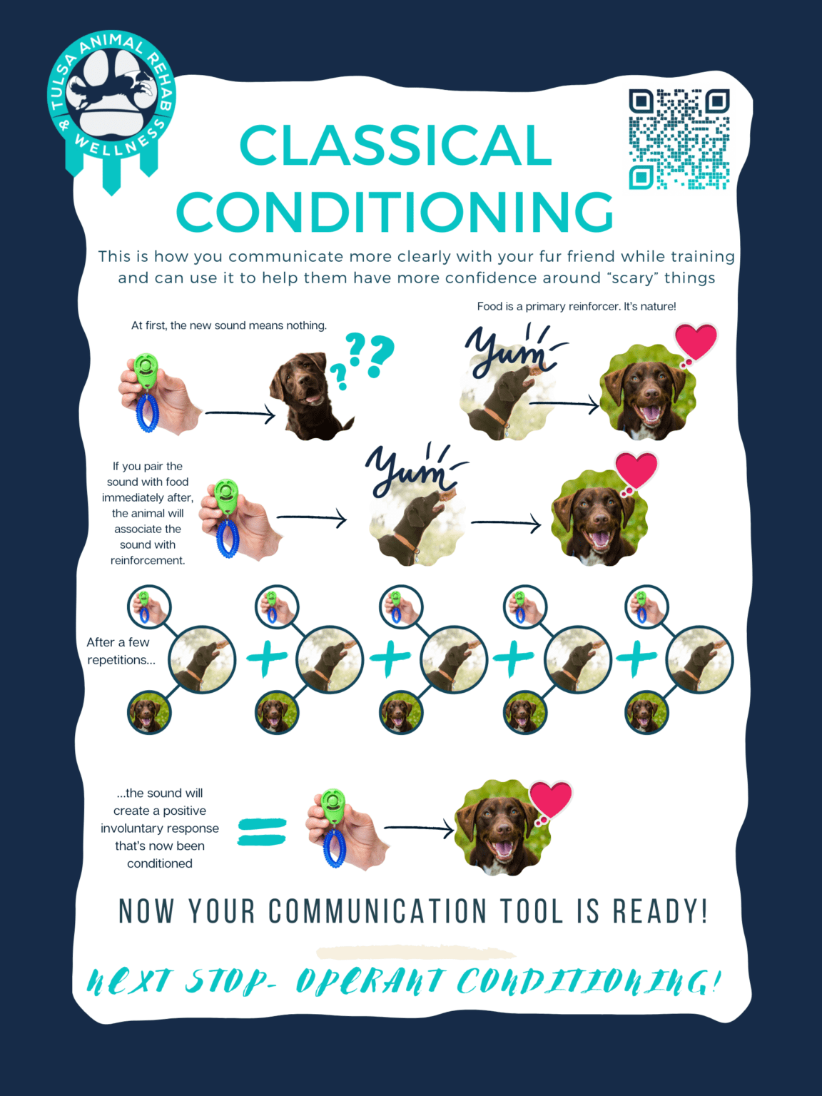 How Animals Learn- Part 1: Classical Conditioning – Tulsa Animal Rehab ...