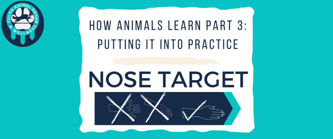 How Animals Learn- Part 3: Putting it in Practice – Tulsa Animal Rehab ...