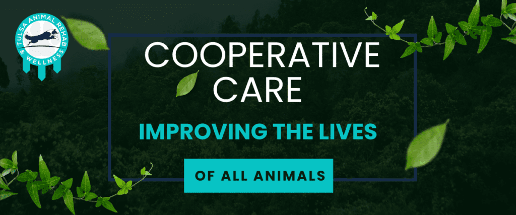 Cooperative Care For Animals – Tulsa Animal Rehab & Wellness