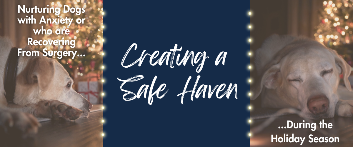 Creating a Safe Haven: Nurturing Anxious Dogs During the Holiday Season ...